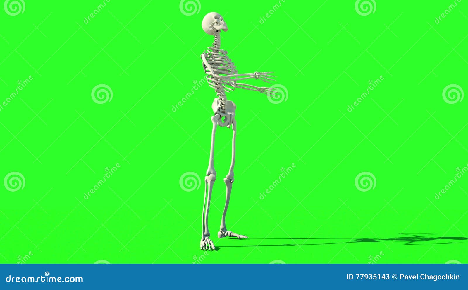 Crazy Skeleton Funny Dancing. GI Render. Green Screen Footage Stock ...