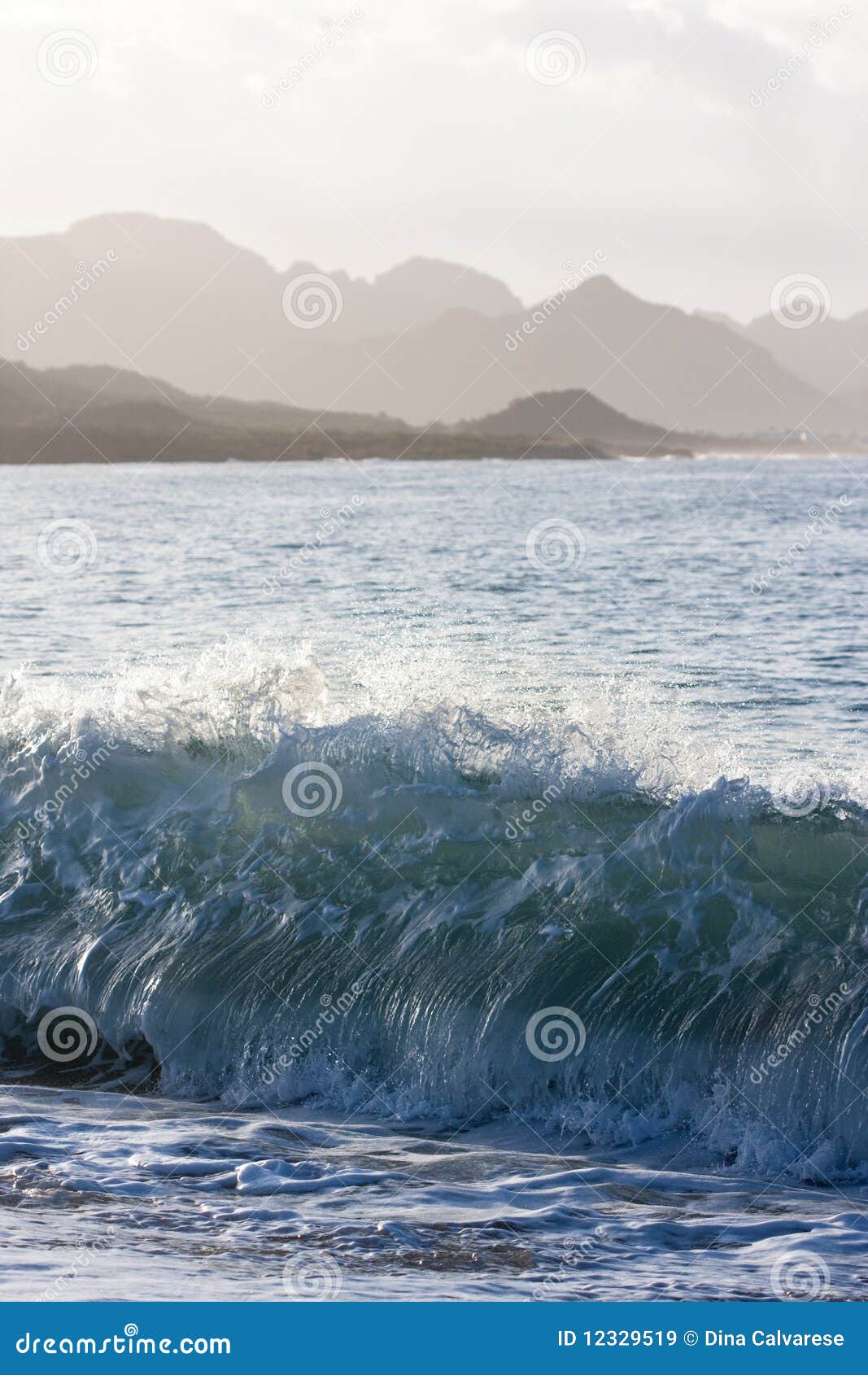 Crazy surf stock image. Image of water, beach, range - 12329519