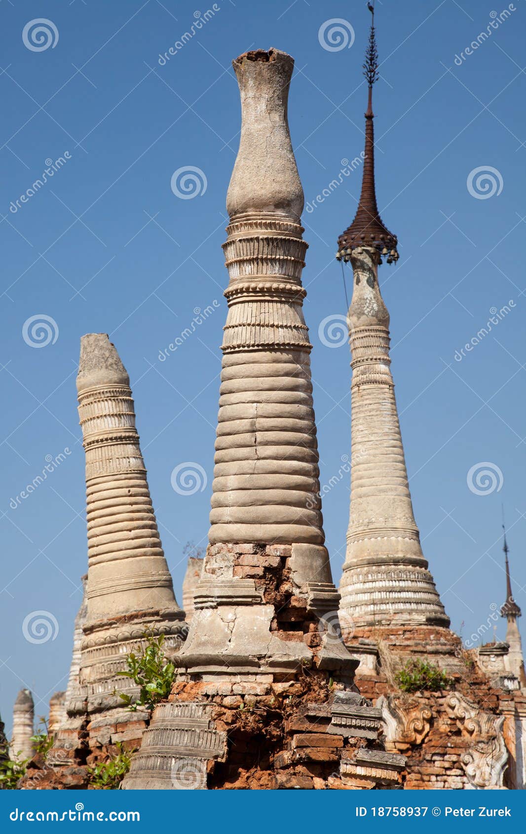 Crazy Zedi stock image. Image of gold, bizarre, damaged - 18758937