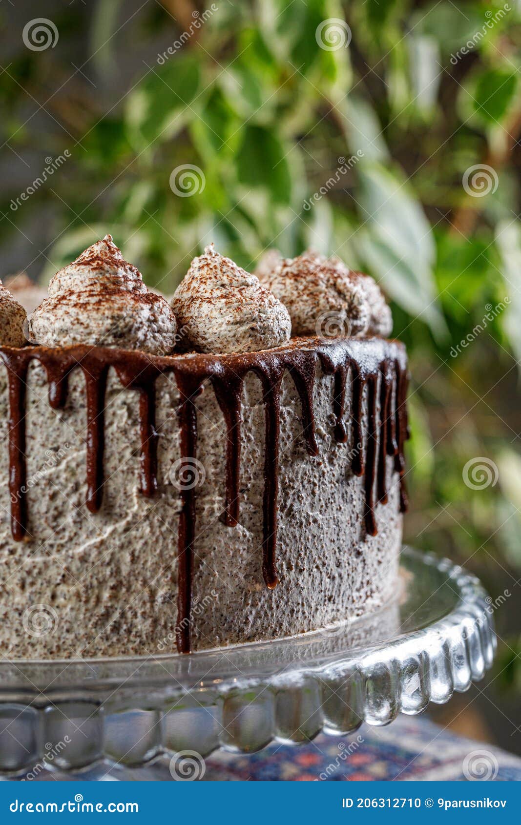 Cream Cake Side View. Melted Chocolate and Piped Dots Stock Photo ...