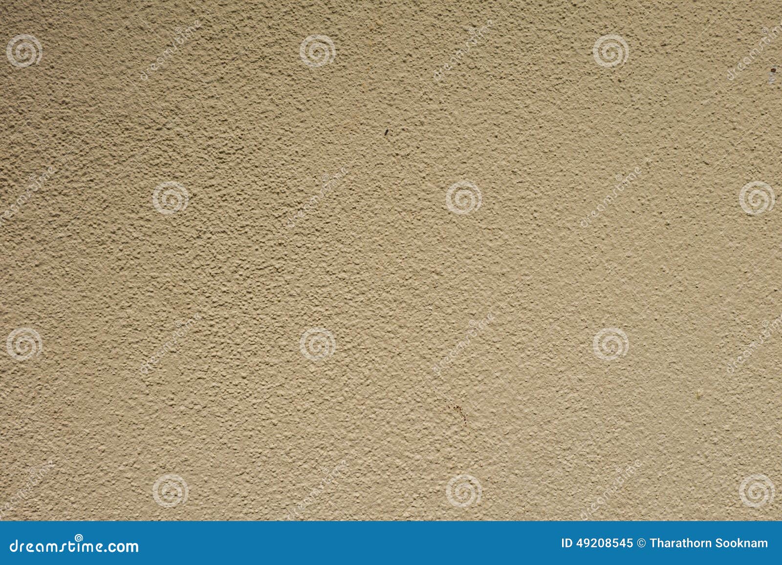 Cream Paint Wall Texture