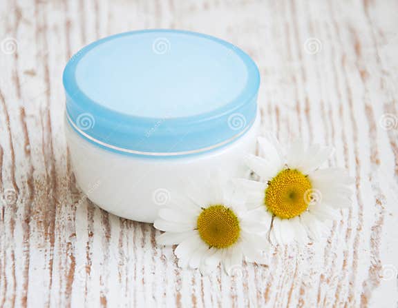 Cream and chamomiles stock photo. Image of daisy, container - 31416678