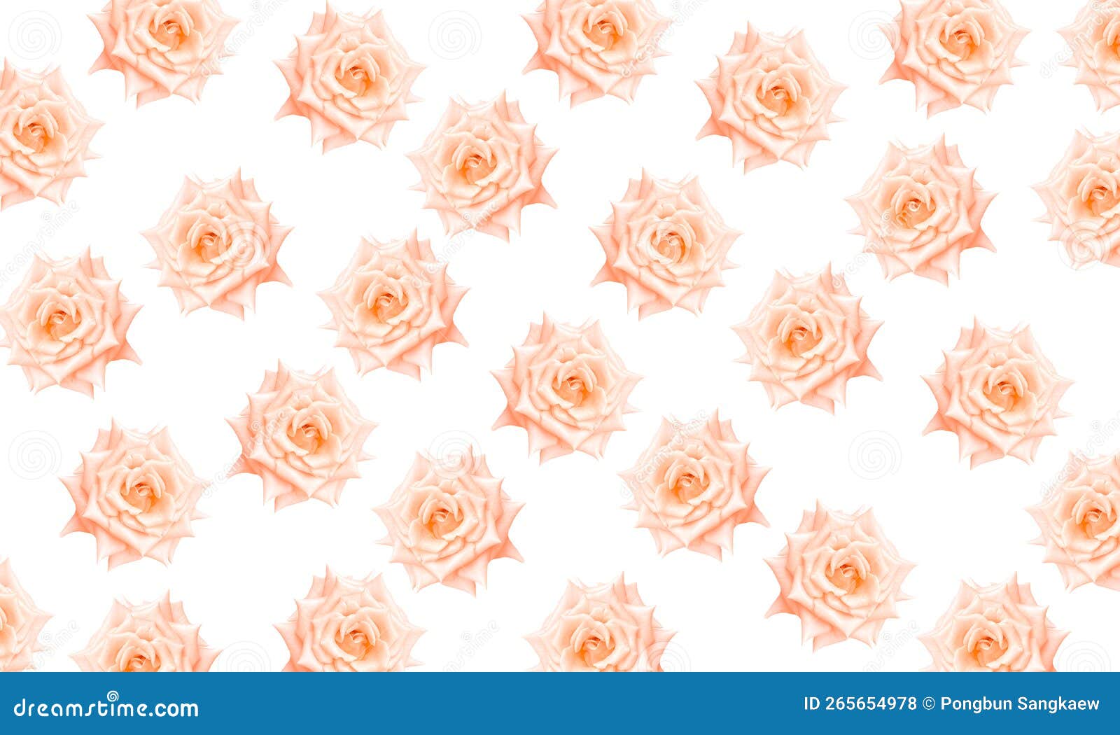 Cream Colored Roses Pattern Nature Background Stock Photo - Image of ...
