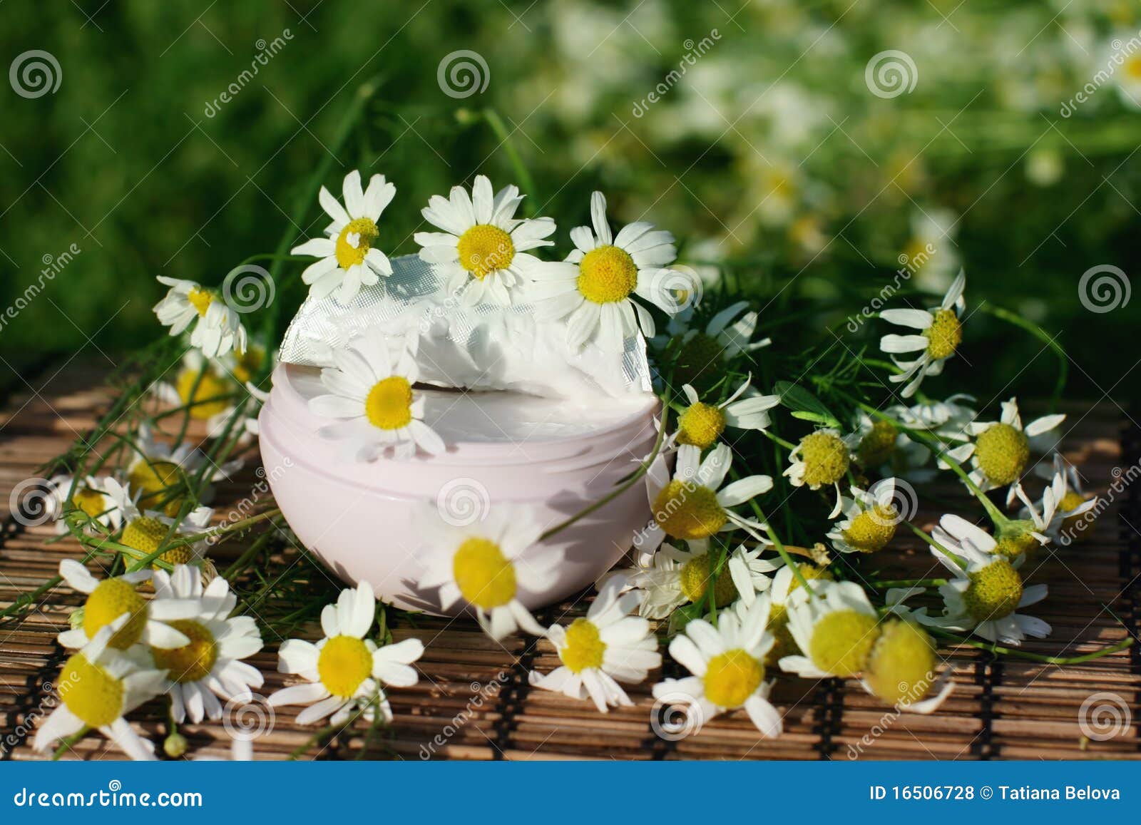 Cream with daisies stock photo. Image of dermatology - 16506728