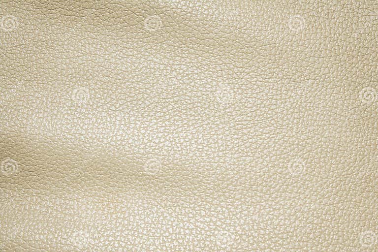 Cream Leather Texture Abstract for Background with Reflection Stock ...