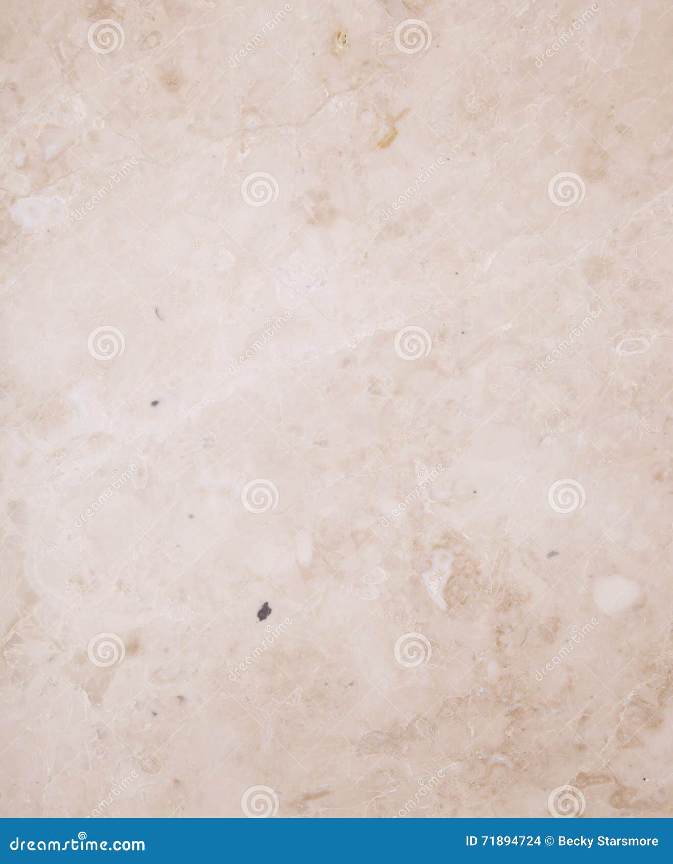 Cream Marble background stock photo. Image of bathroom - 71894724