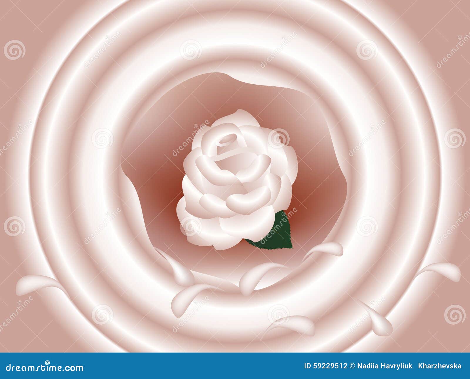 Cream rose. stock vector. Illustration of design, whirlpool - 59229512