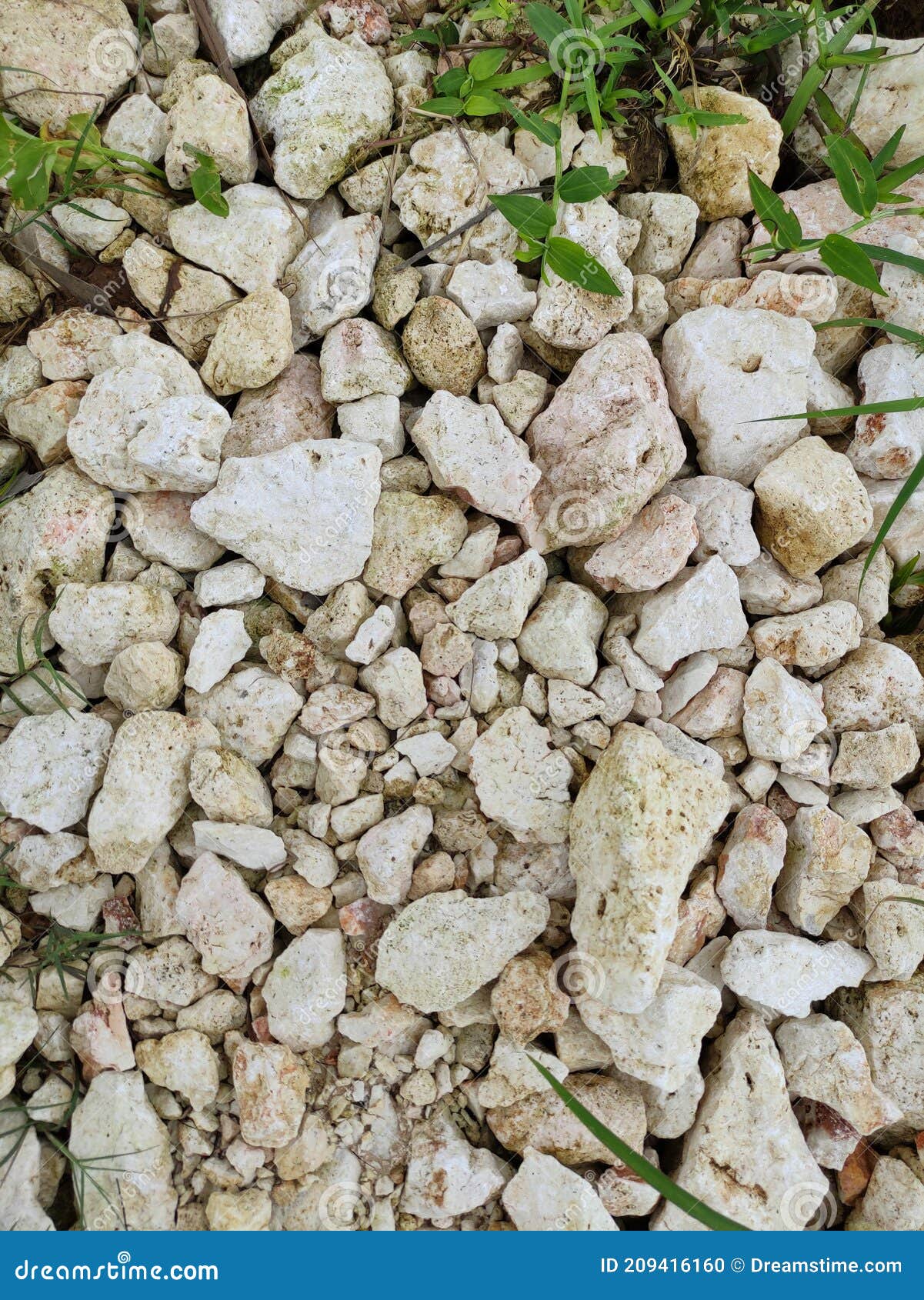 Cream stone pattern stock photo. Image of pattern, tone - 209416160