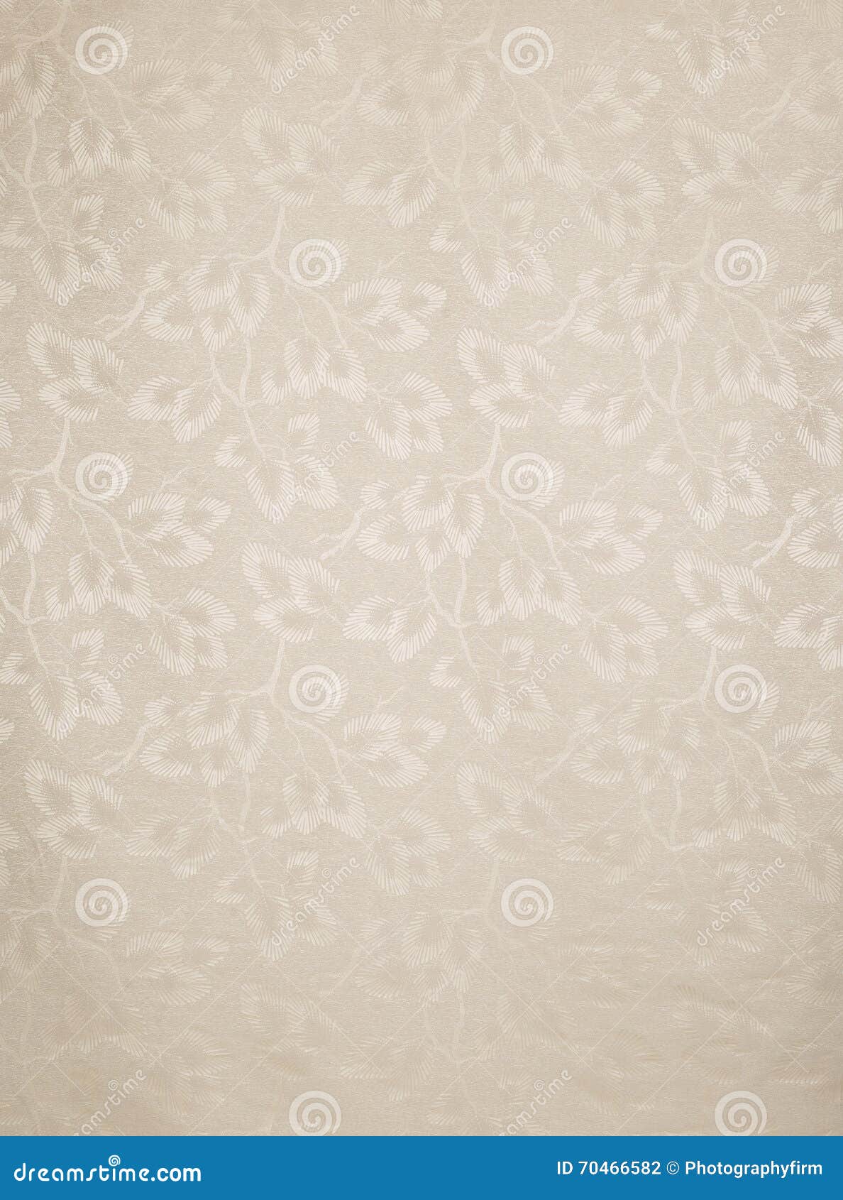 Cream Wallpaper with Leaves on Branches Pattern Swatch Stock Photo ...