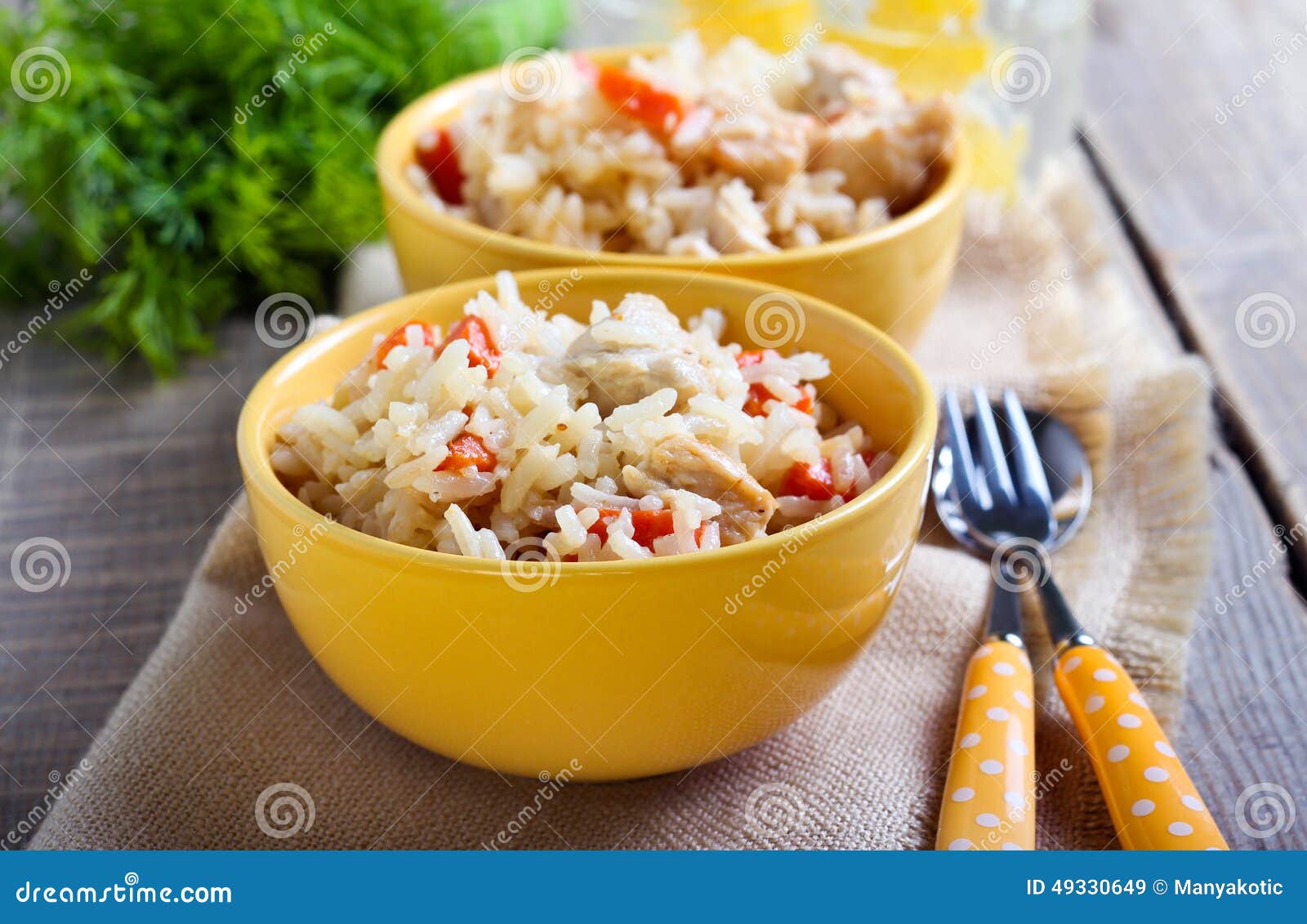 Creamy Chicken and Carrot Rice Stock Image - Image of risotto, homemade ...