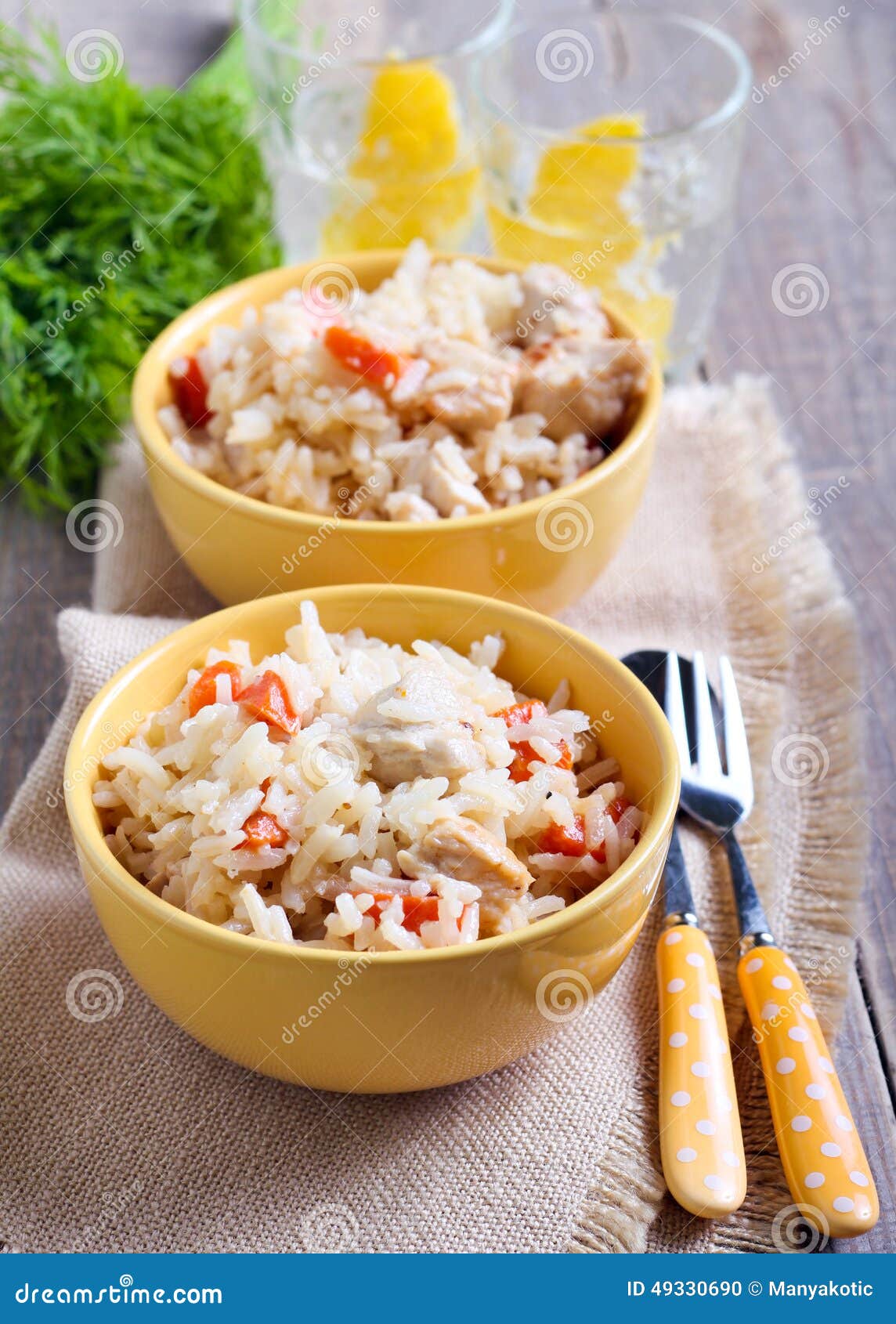 Creamy Chicken and Carrot Rice Stock Photo - Image of bowl, sauce: 49330690