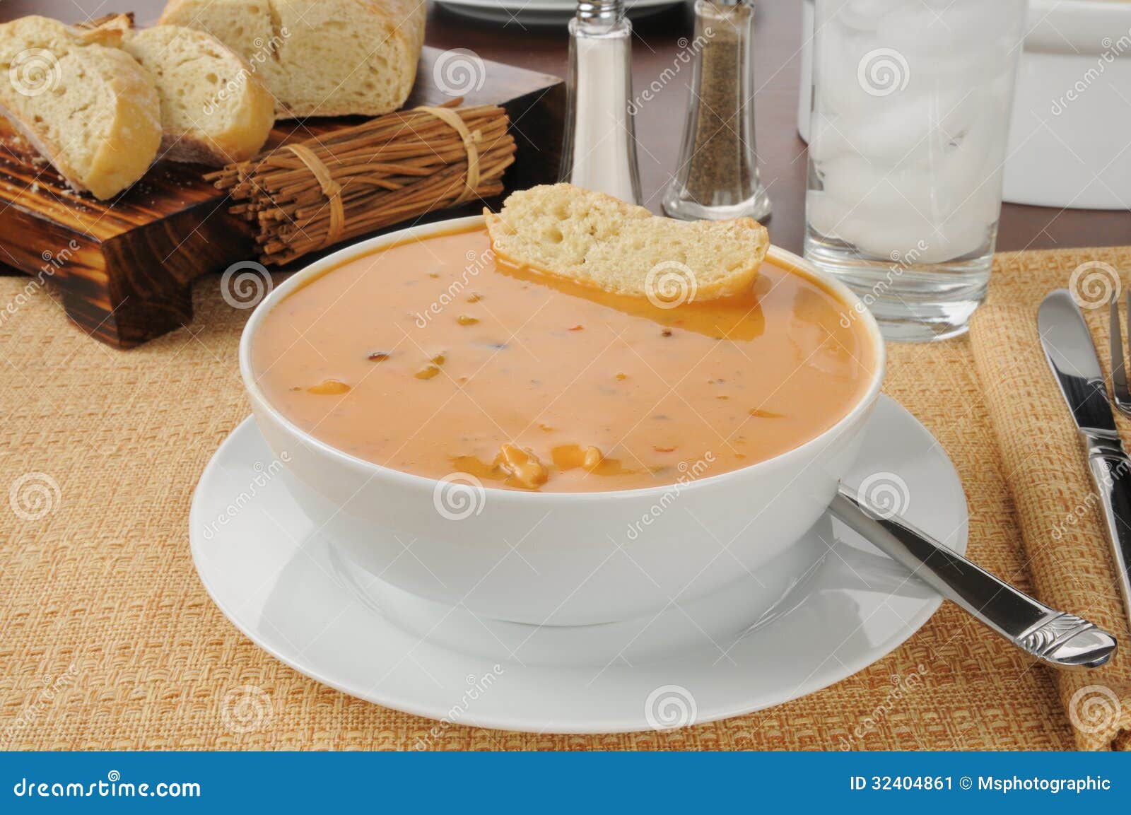 Creamy Chicken Gouda Bisque Stock Image - Image of soup, hard: 32404861