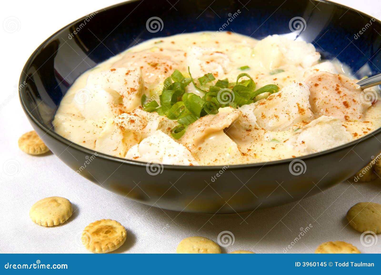 Creamy Fish Chowder stock image. Image of lunch, chowder - 3960145