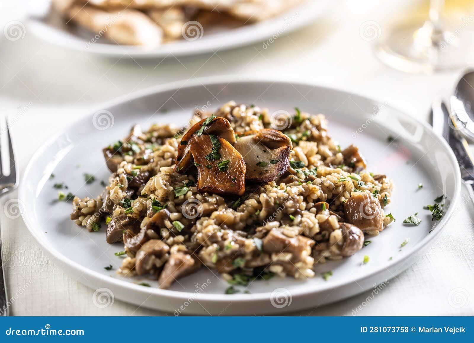 Creamy Italian Mushroom Risotto on a White Plate Stock Photo - Image of ...