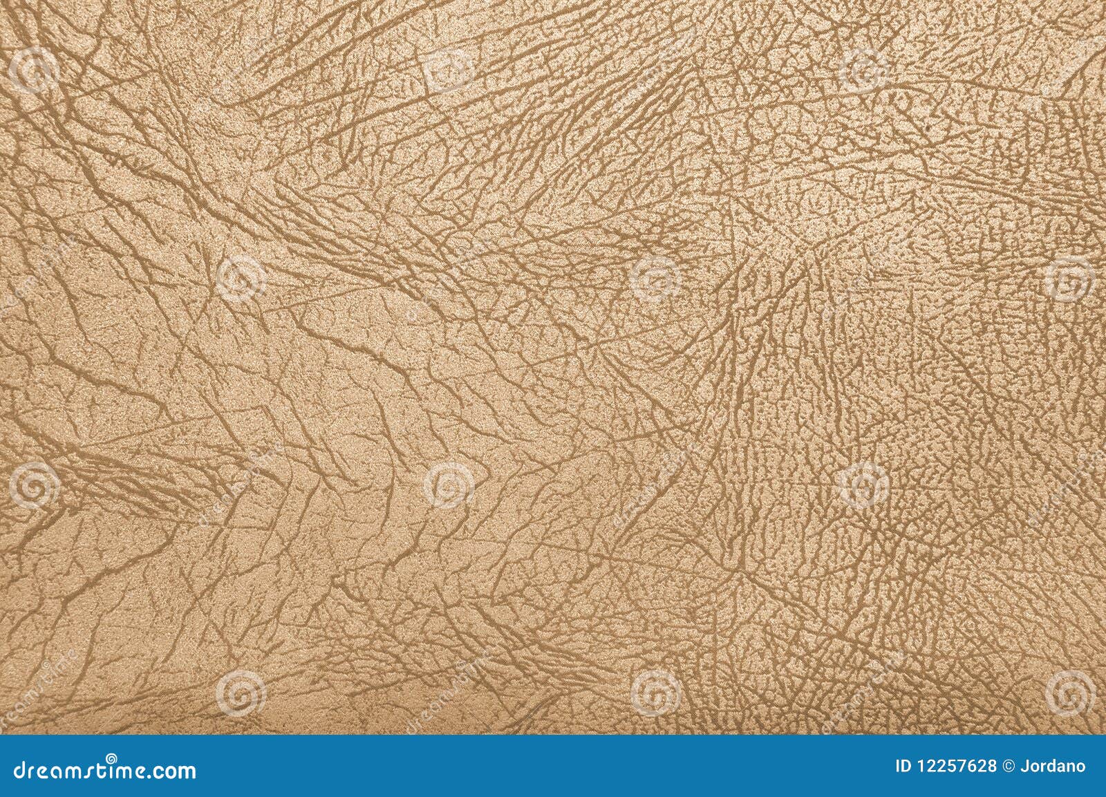 Creamy leather stock photo. Image of closeup, print, abstract - 12257628