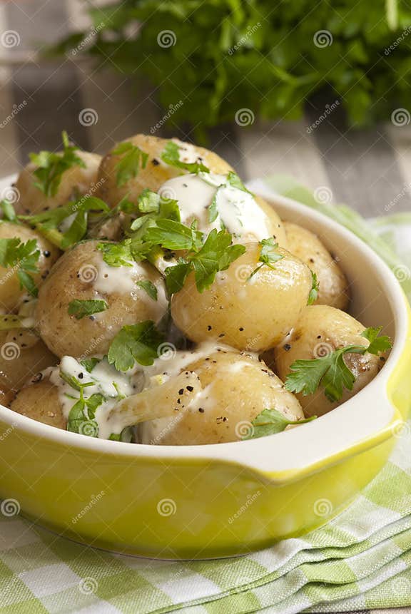 Creamy minted potatoes stock image. Image of cream, bake - 21590195