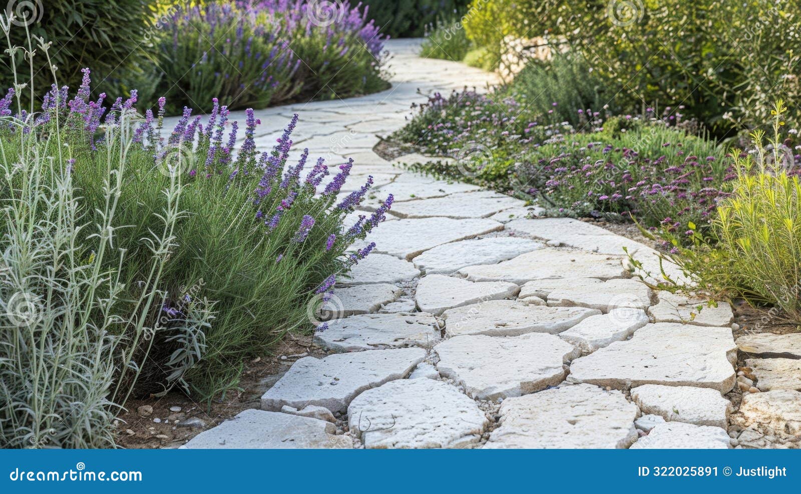 A Creamy White Limestone Path Characterized by a Co Gritty Texture that ...