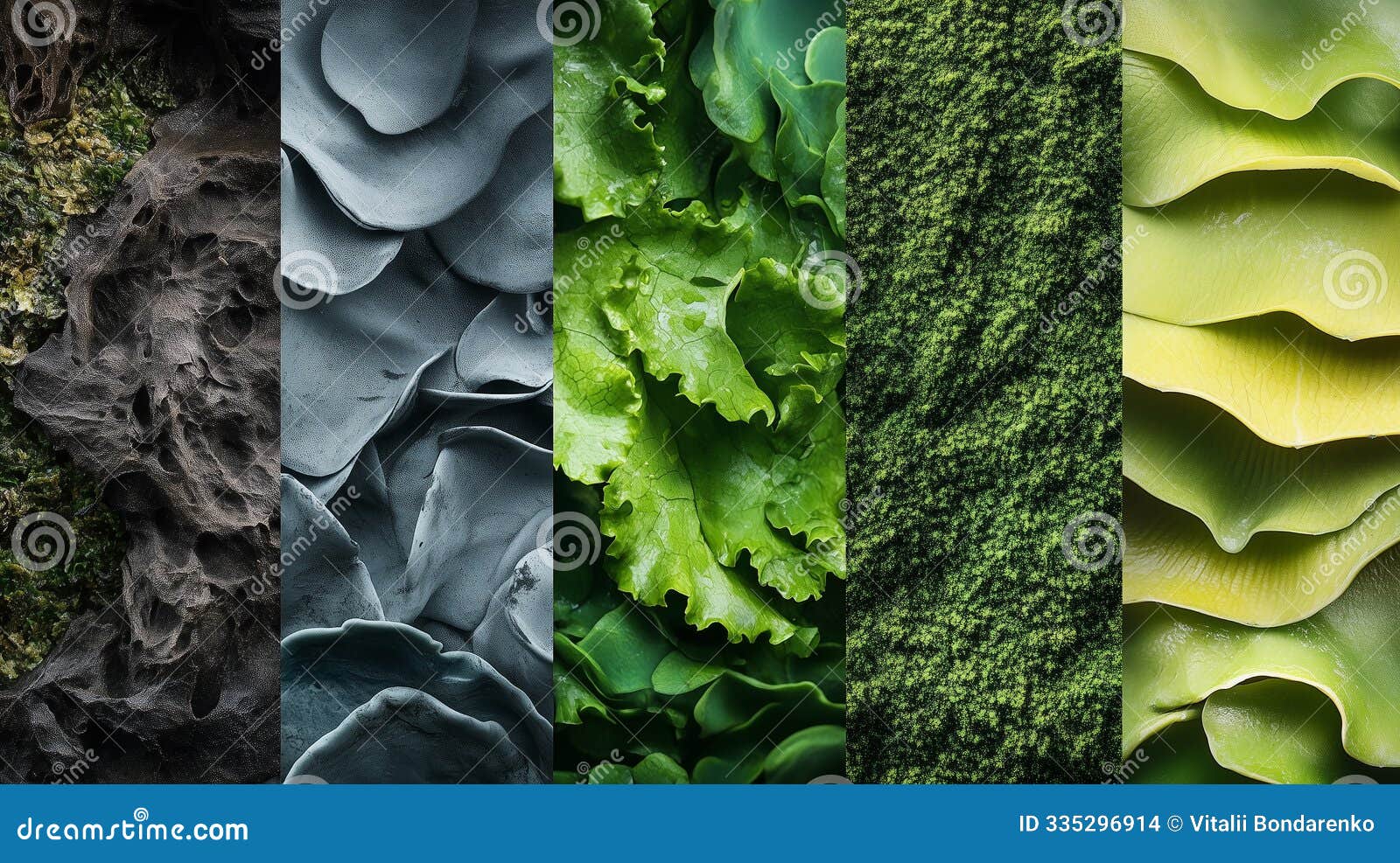 Create Organic Flow with Layered Natural Textures. Stock Illustration ...