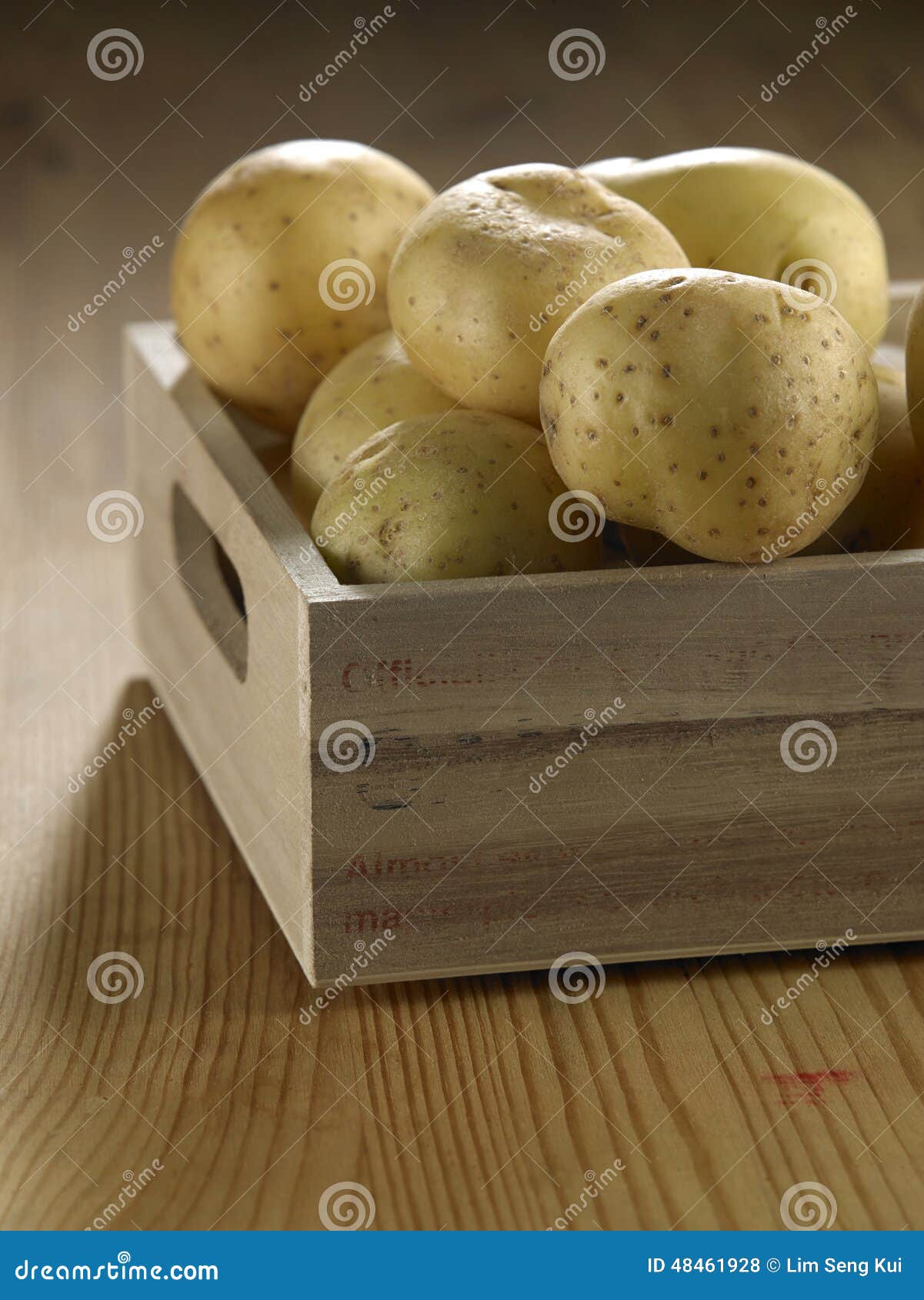 Create of potato stock photo. Image of plant, healthy - 48461928