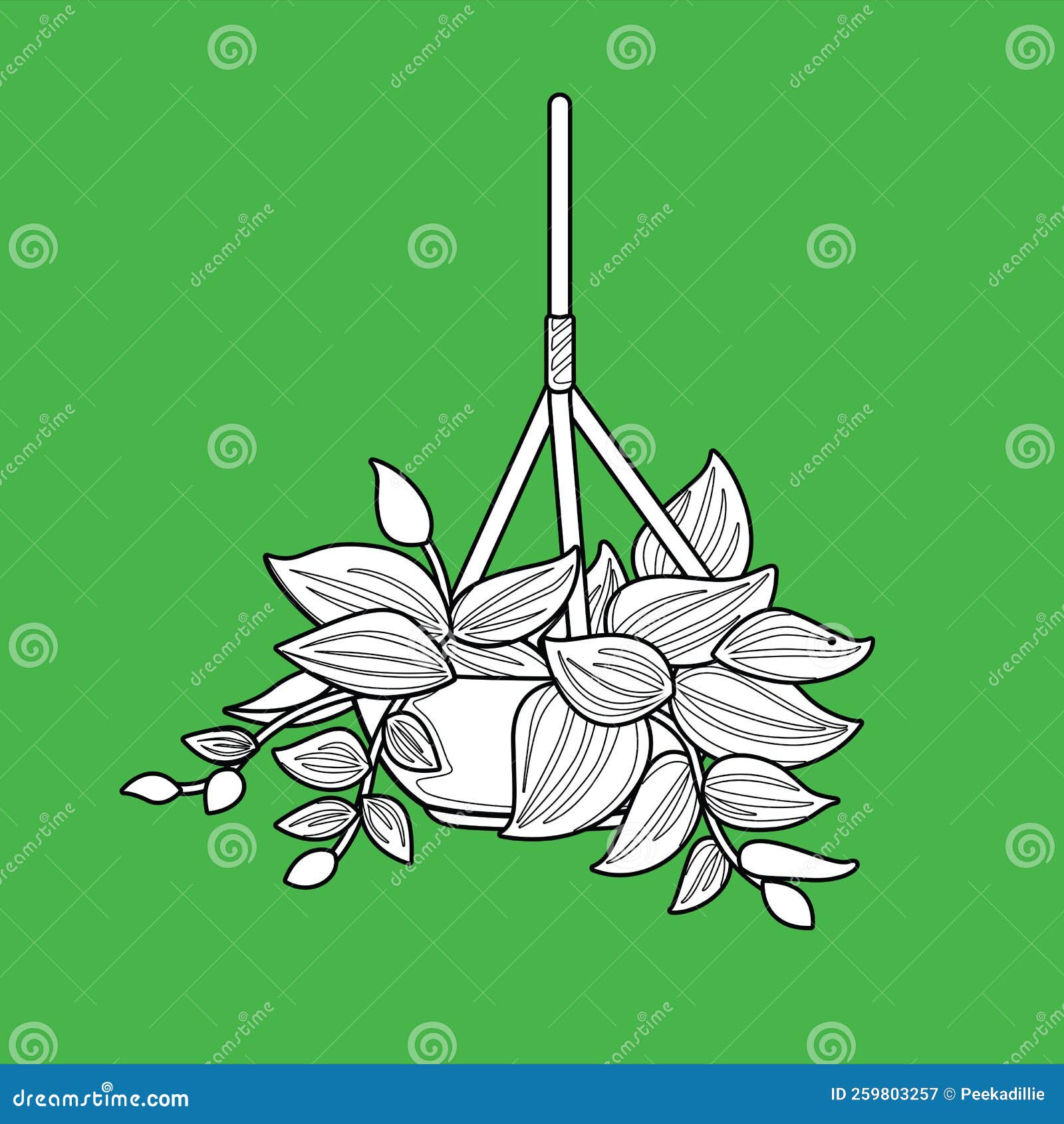 Pothos Home Plant Digital Stamp Stock Vector - Illustration of drawing ...