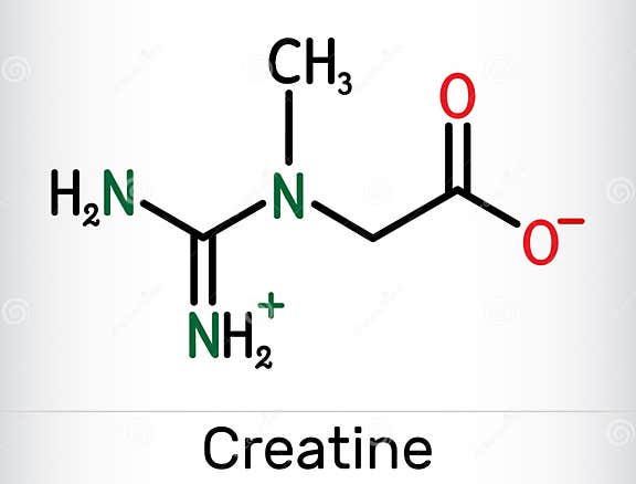 Creatine Molecule, Food Supplements. Structural Chemical Formula Stock ...