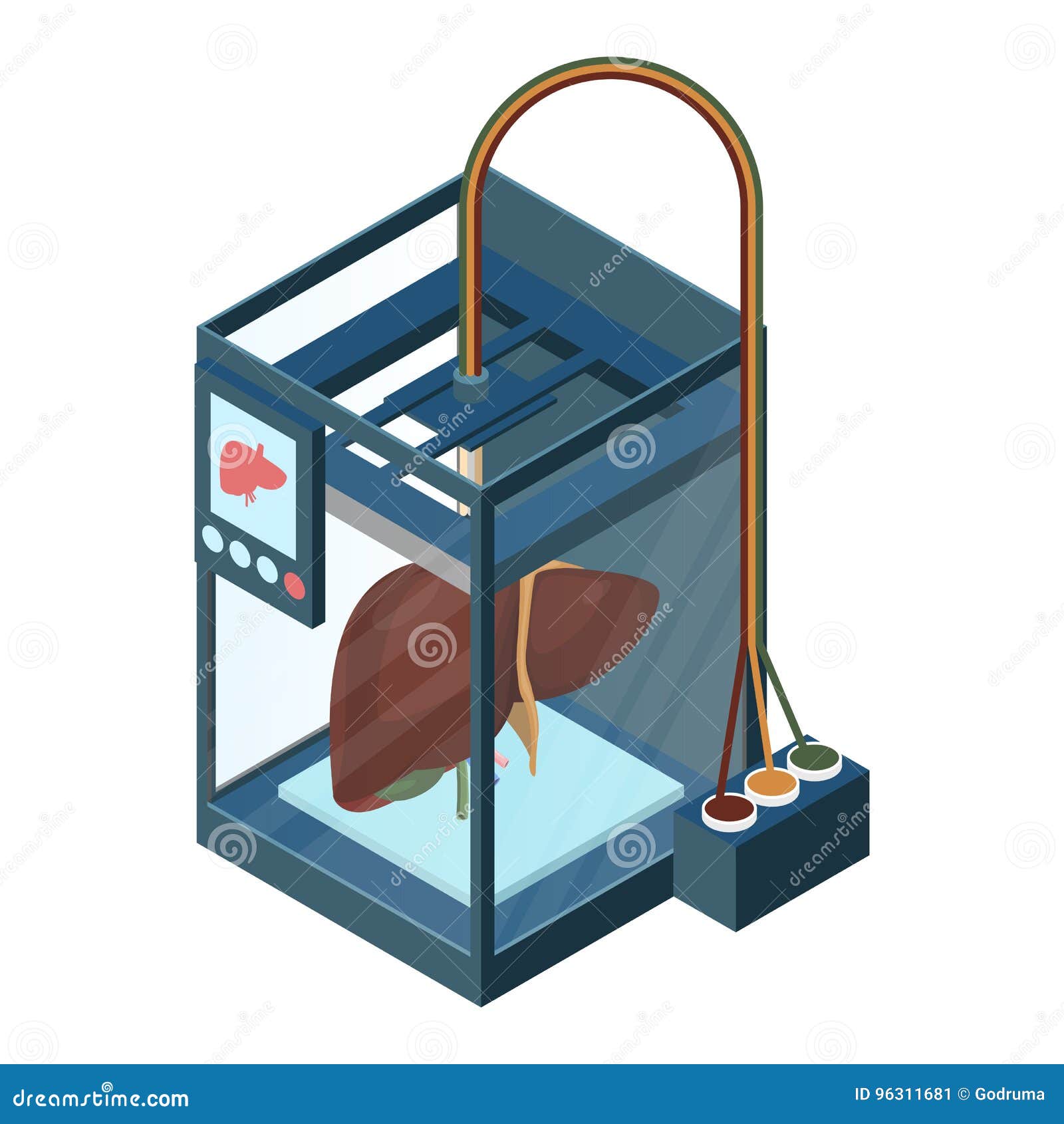 Bioprinting Concept, 3D Printing Of The Liver, Stomach, Lungs, Kidneys ...