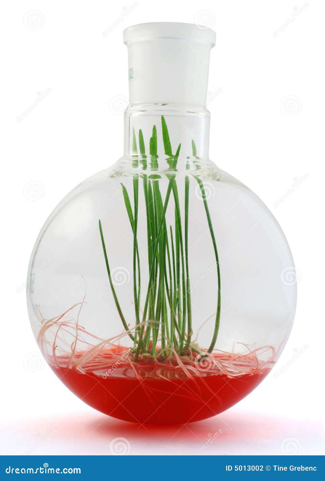 Creating life stock photo. Image of concepts, healthy - 5013002