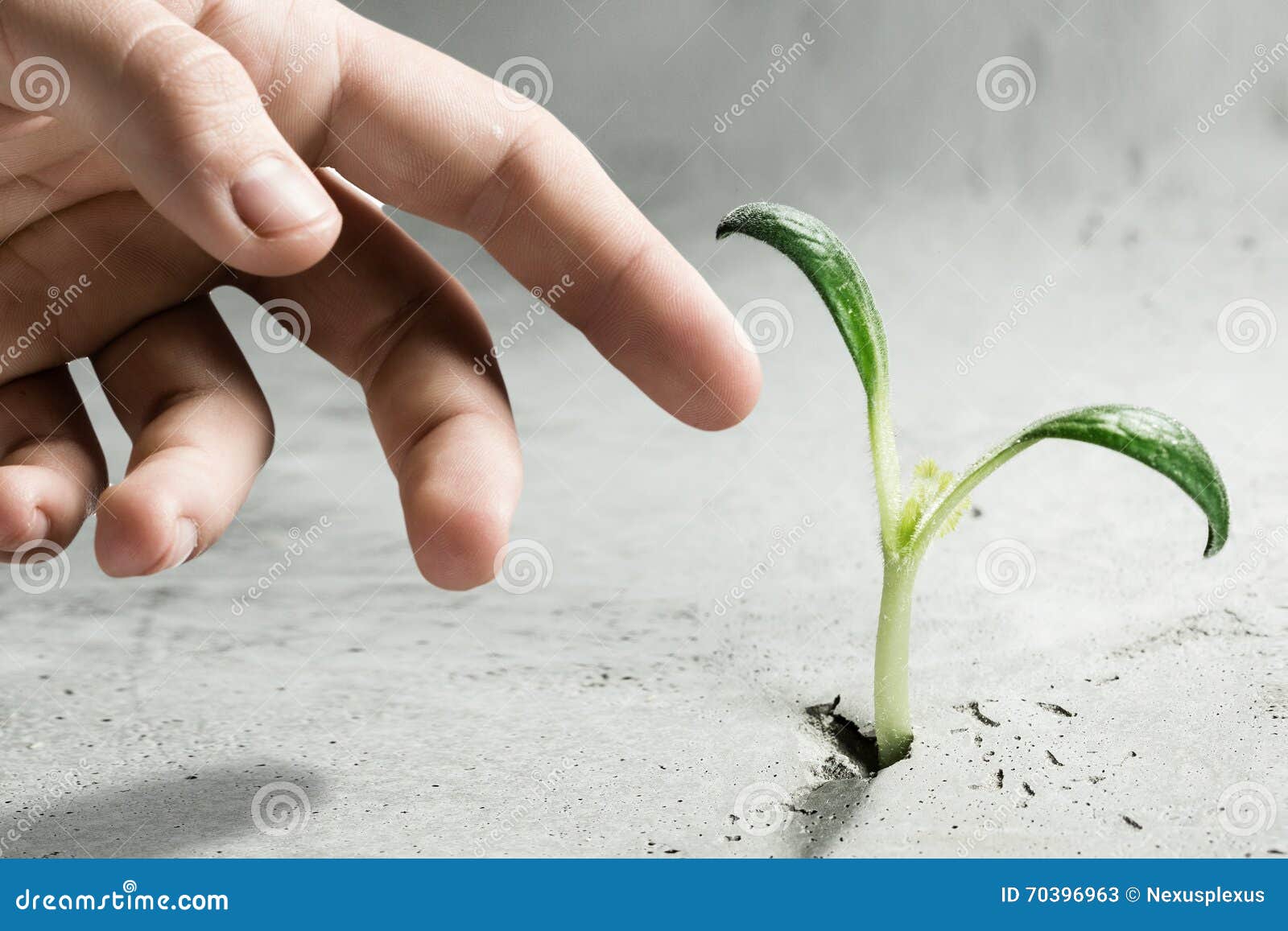 Creating new life stock image. Image of finger, life - 70396963