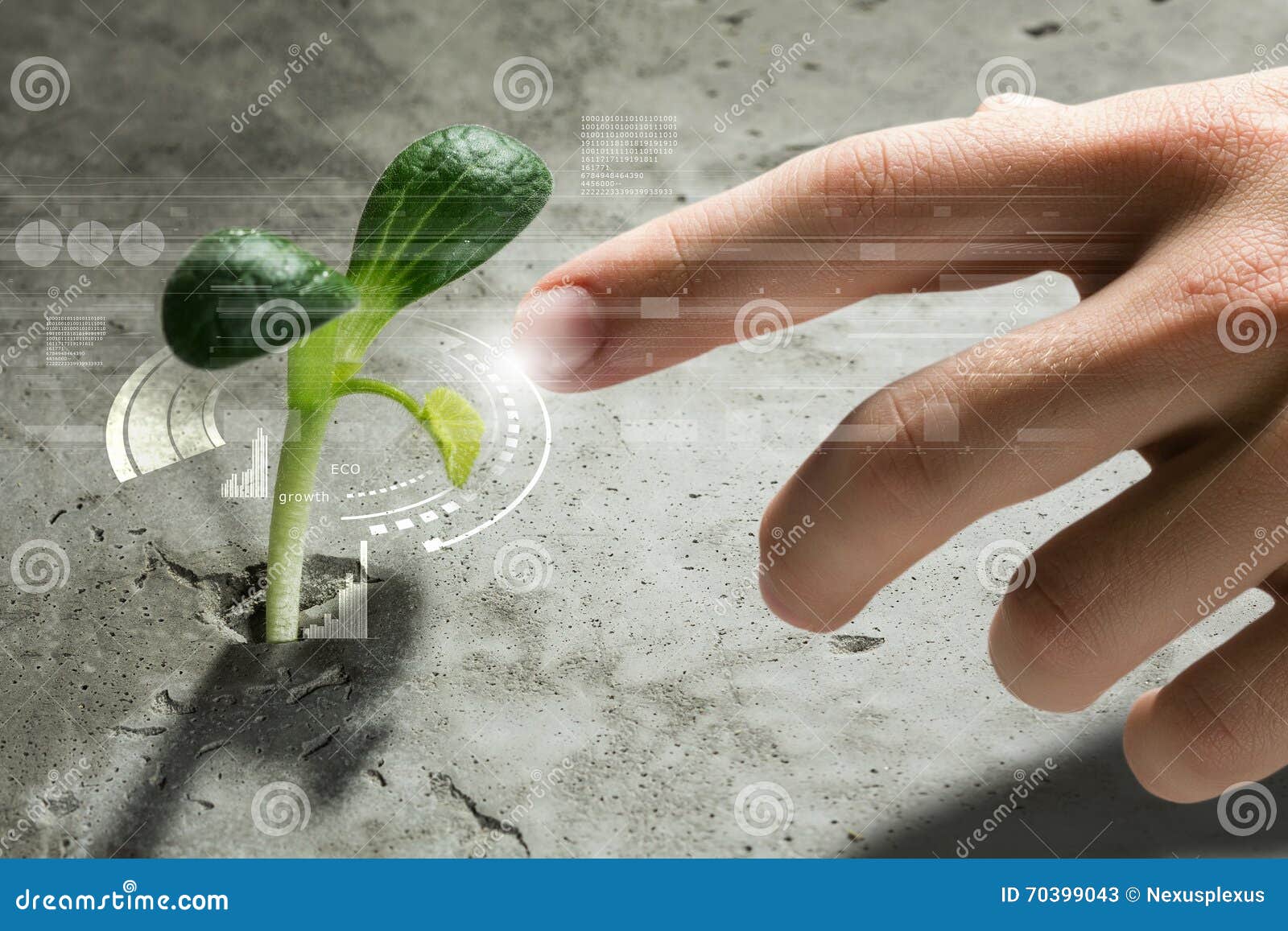 Creating new life stock image. Image of birth, hand, care - 70399043