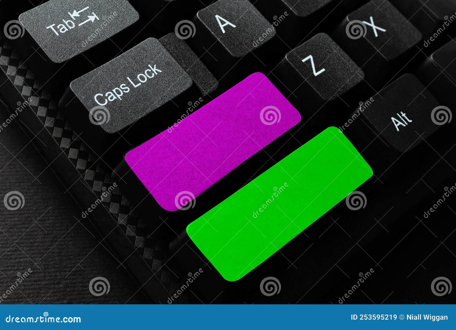 Creating New Programming Guidebook Typing Program Source Codes Internet Connection Structure