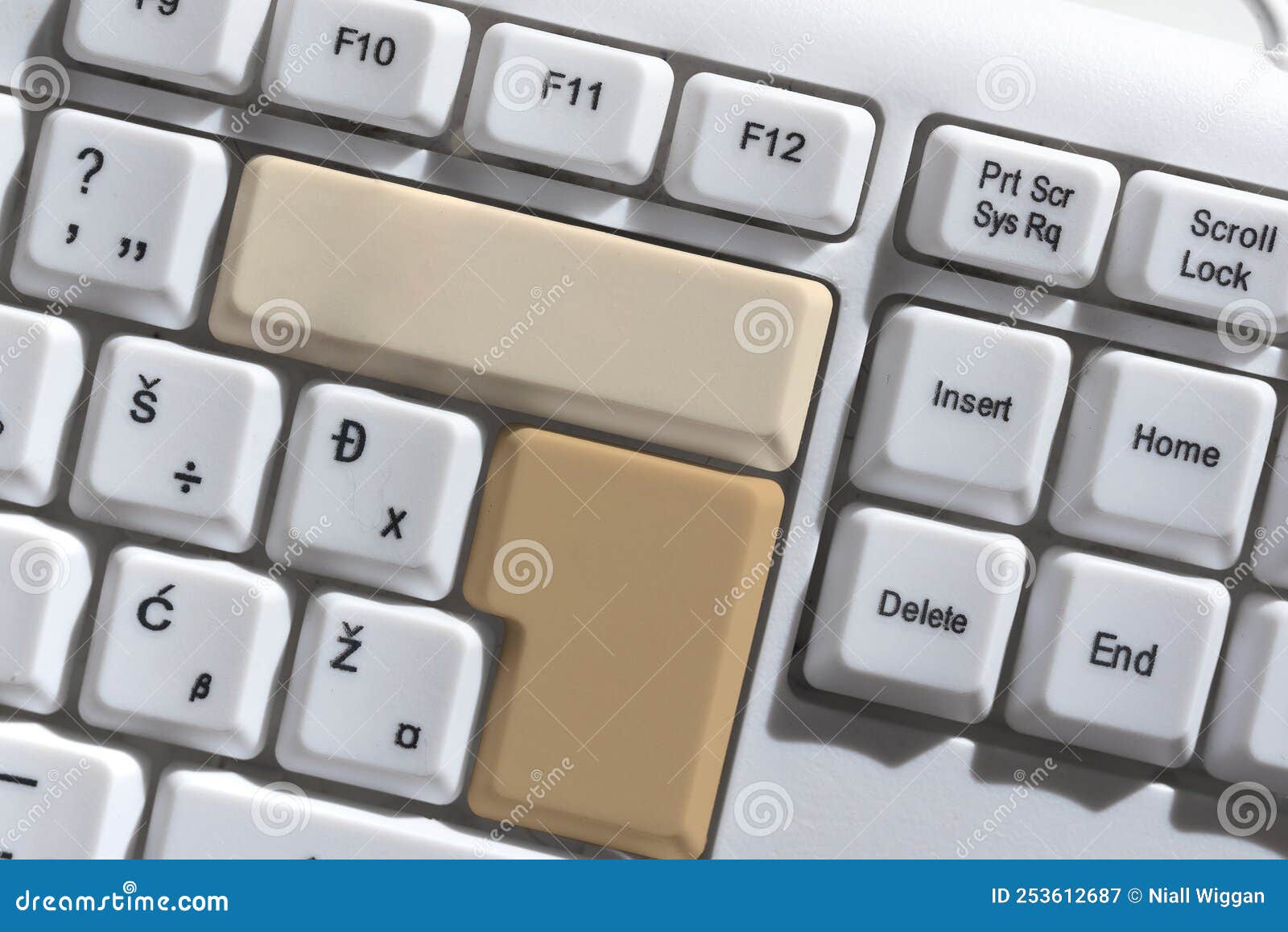 Creating New Programming Guidebook Typing Program Source Codes Internet Connection Structure