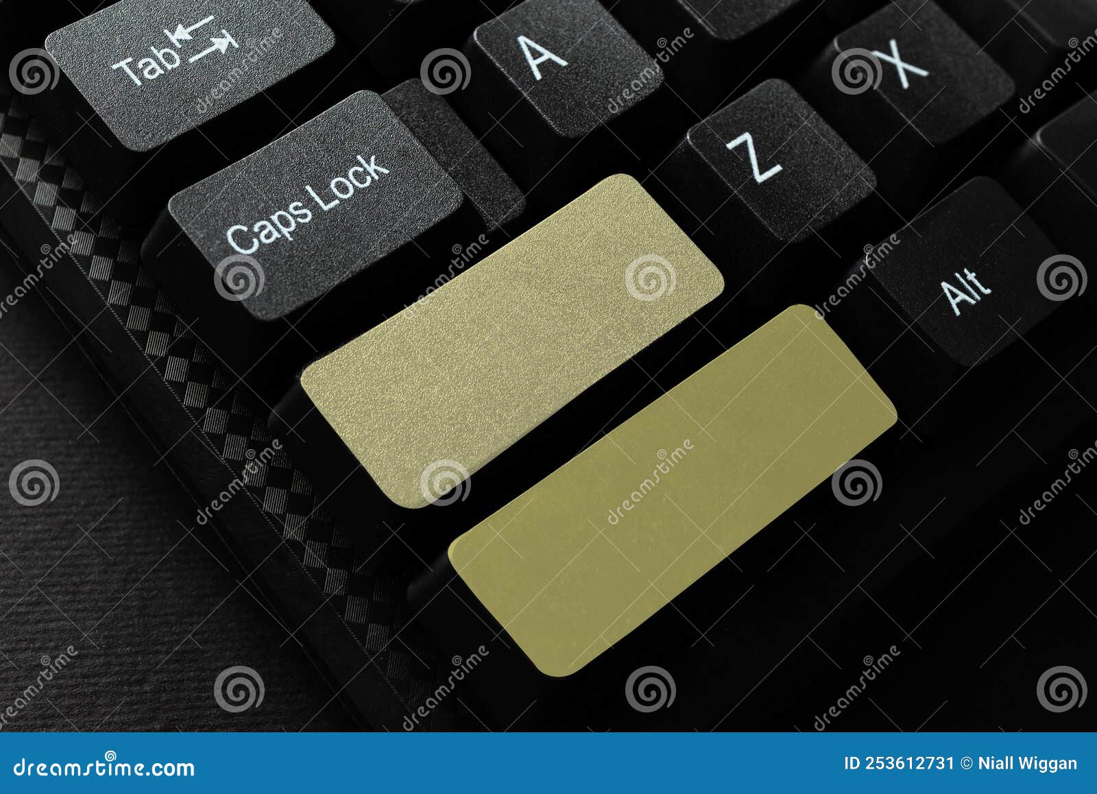 Creating New Programming Guidebook, Typing Program Source Codes ...