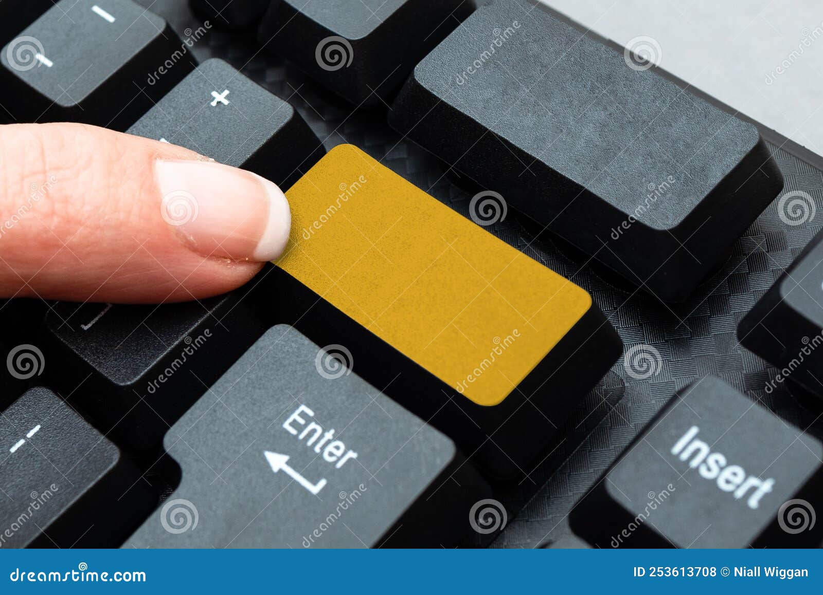 Creating New Programming Guidebook Typing Program Source Codes Internet Connection Structure