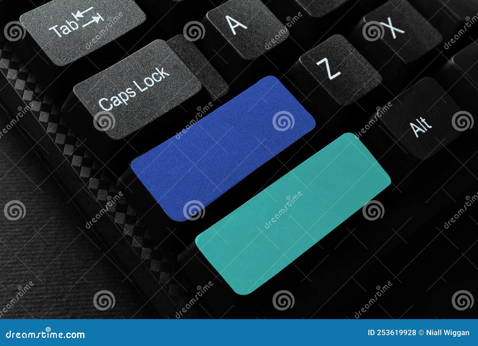 Creating New Programming Guidebook Typing Program Source Codes Internet Connection Structure
