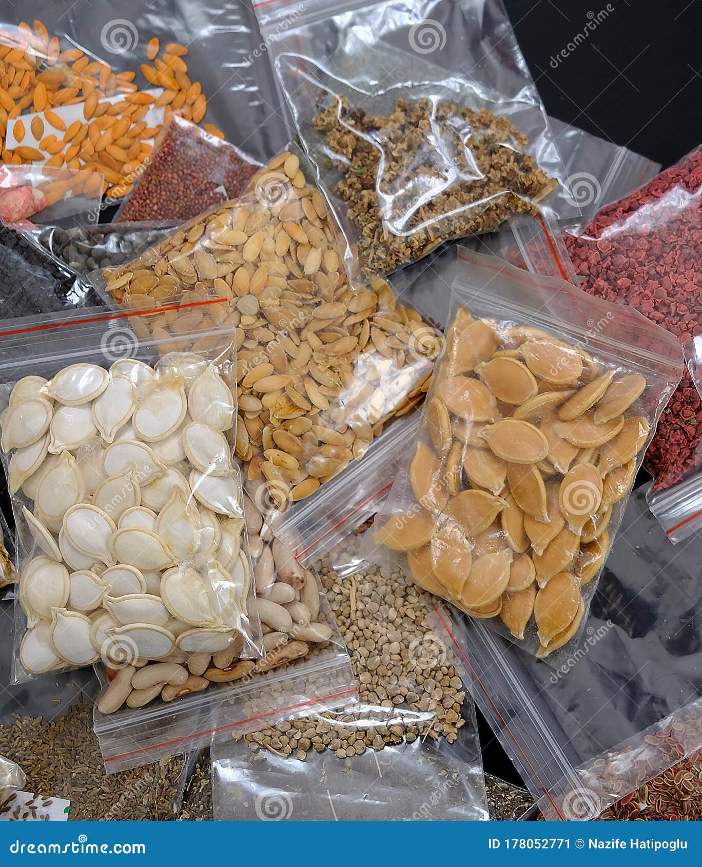 Creating a Seed Bank, Packing and Storing Organic Seeds Stock Image ...