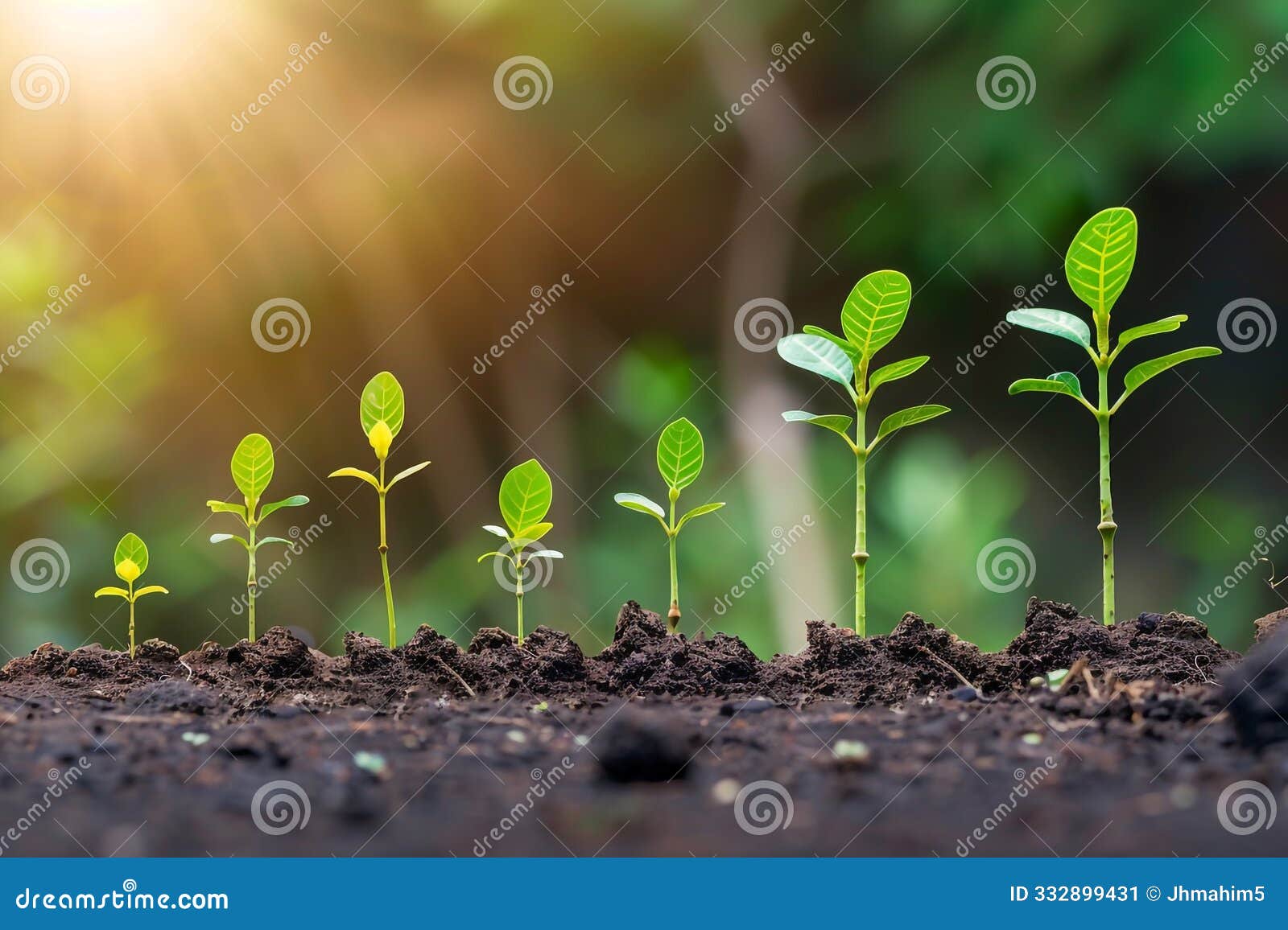 Creating a Supportive and Nurturing Environment for Growth Stock ...