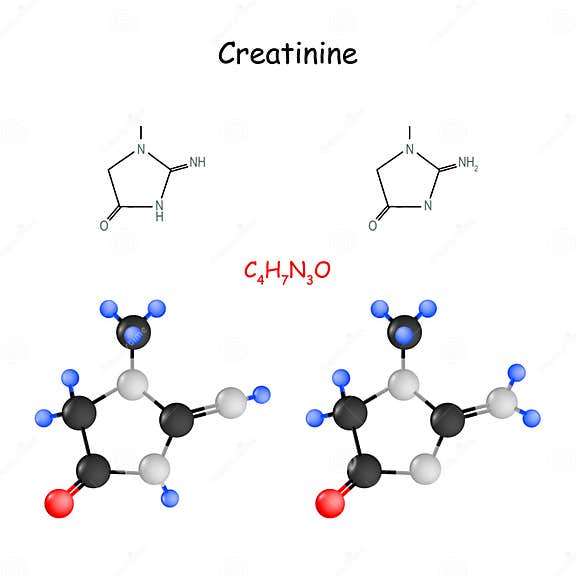Creatinine. Chemical Structural Formula Stock Vector - Illustration of ...