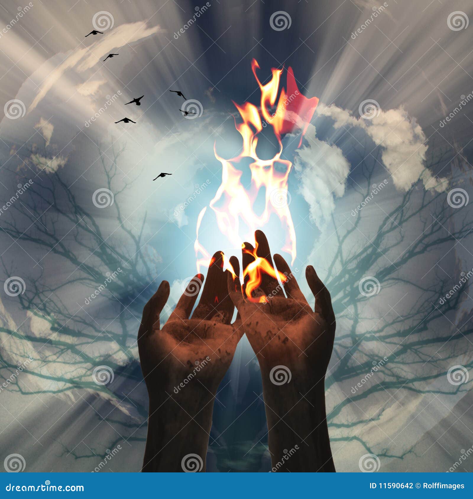 Creation of Woman stock illustration. Illustration of beauty - 11590642