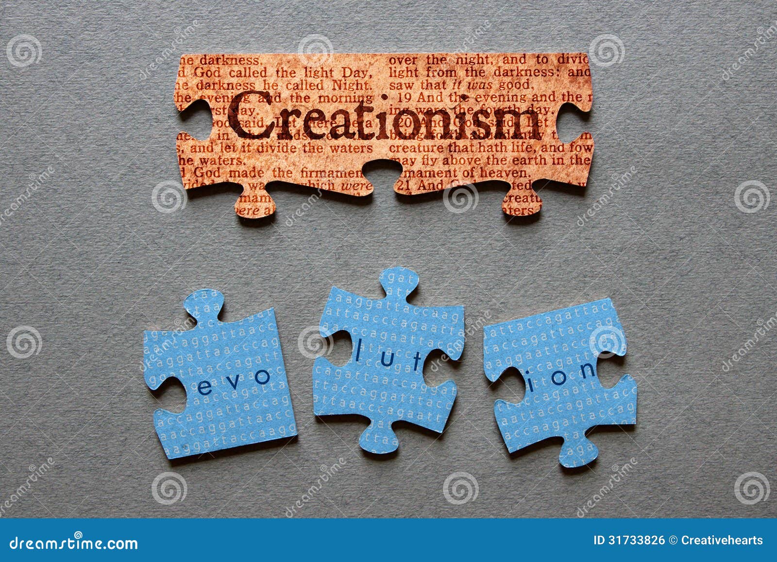Evolution Of Human Skull Sahelanthropus Tchadensis . Australopithecus ...