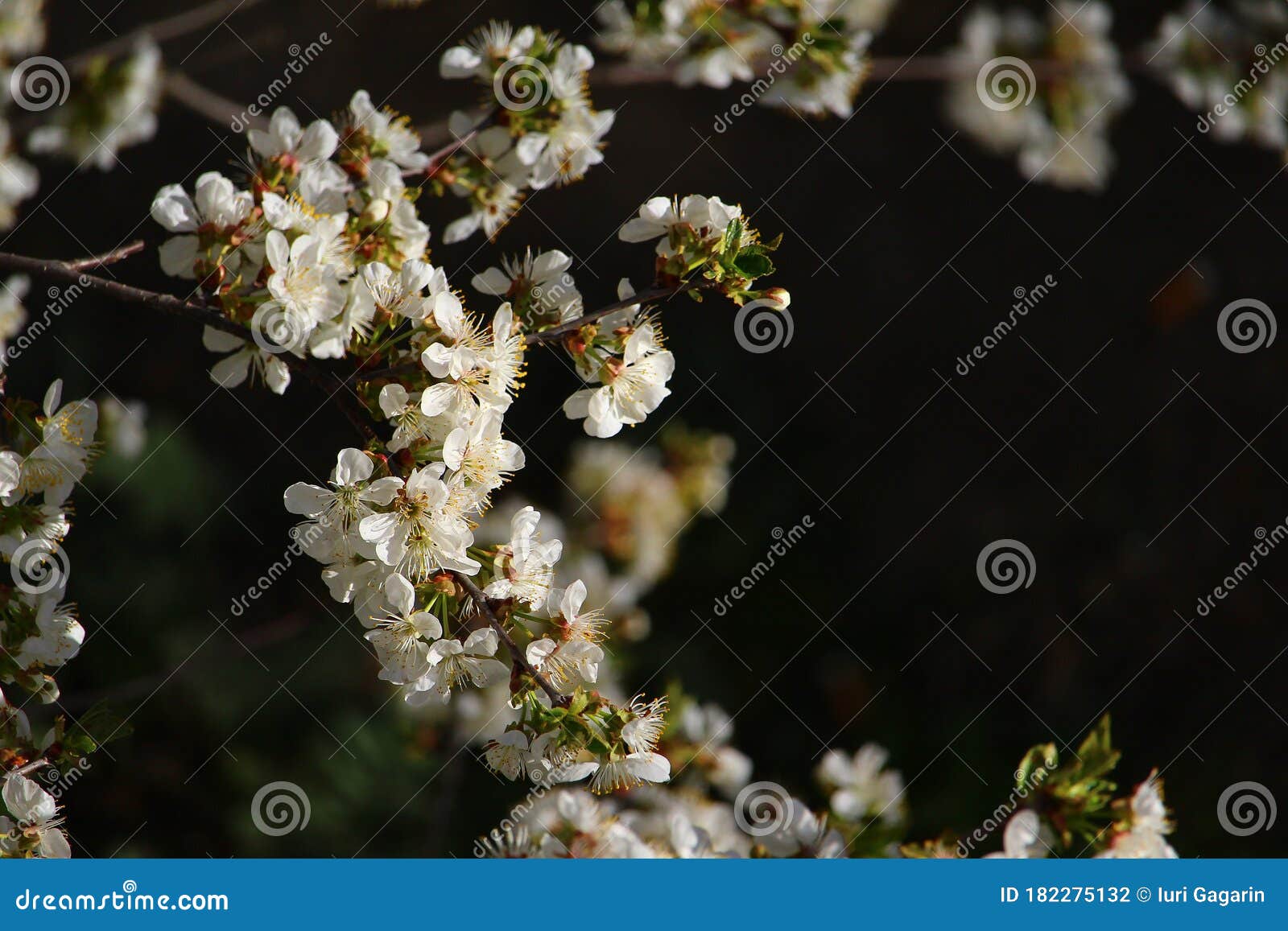 Creative Abstract Symbolic Background Stock Photo - Image of natural ...