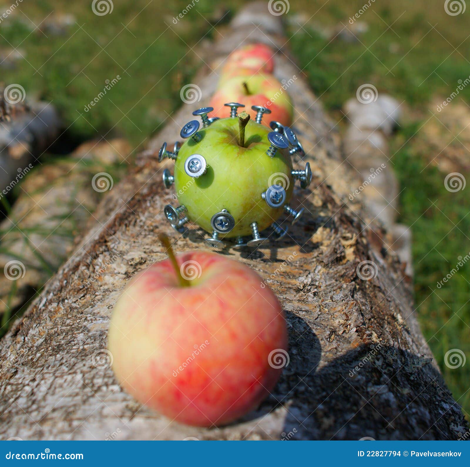 Creative apple stock photo. Image of garden, apple, fruit - 22827794