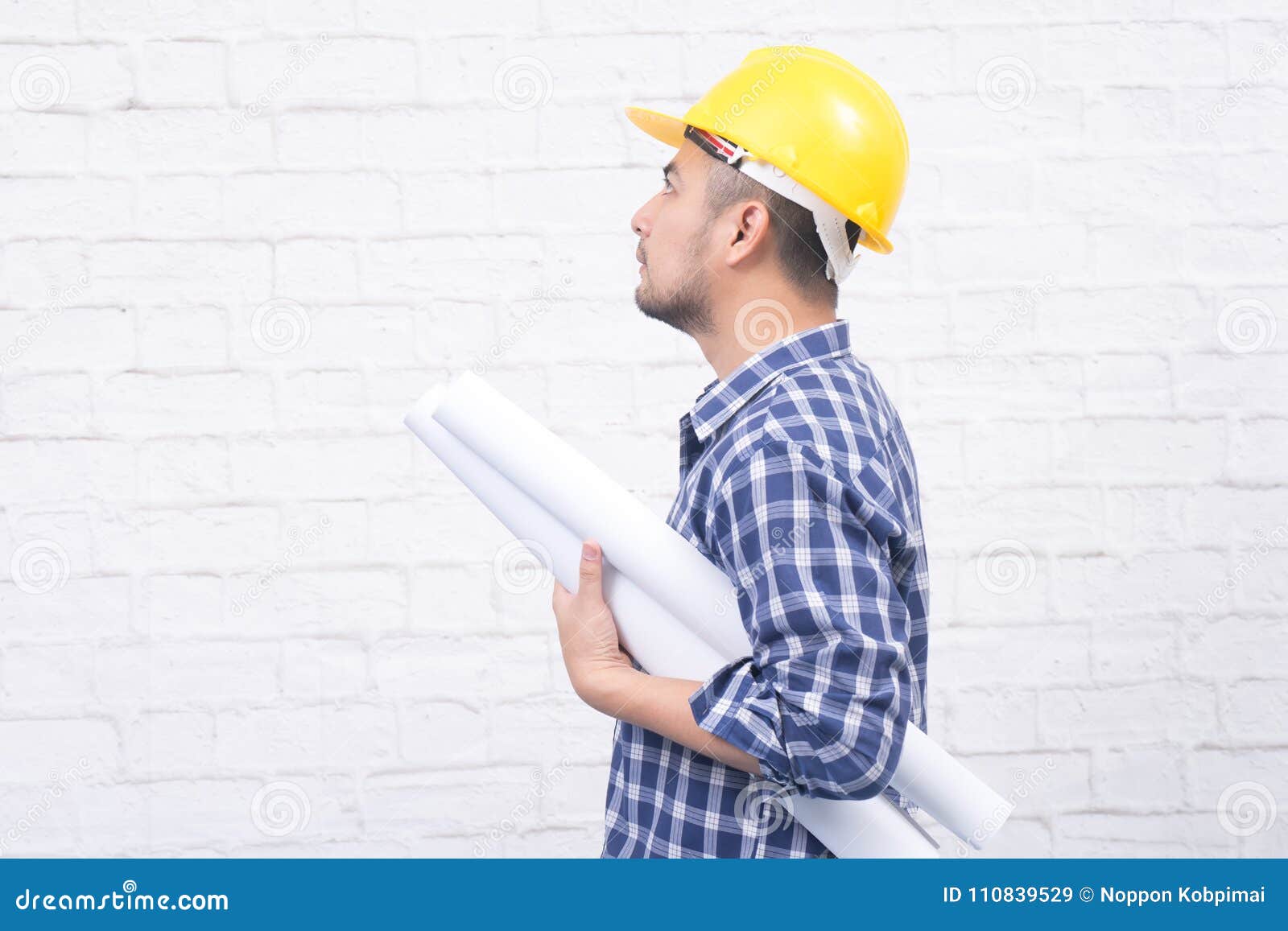 Creative Architect or Engineer Holding Blueprint Rolls Wearing Y Stock ...