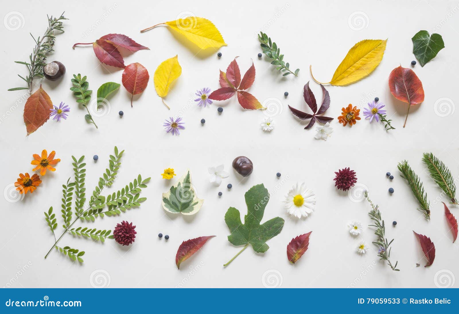 Creative Arrangement Made of Autumn Leaves Stock Image - Image of ...