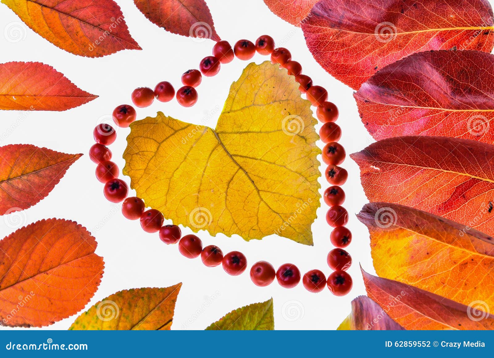 Creative autumn leaves stock photo. Image of line, cantor - 62859552
