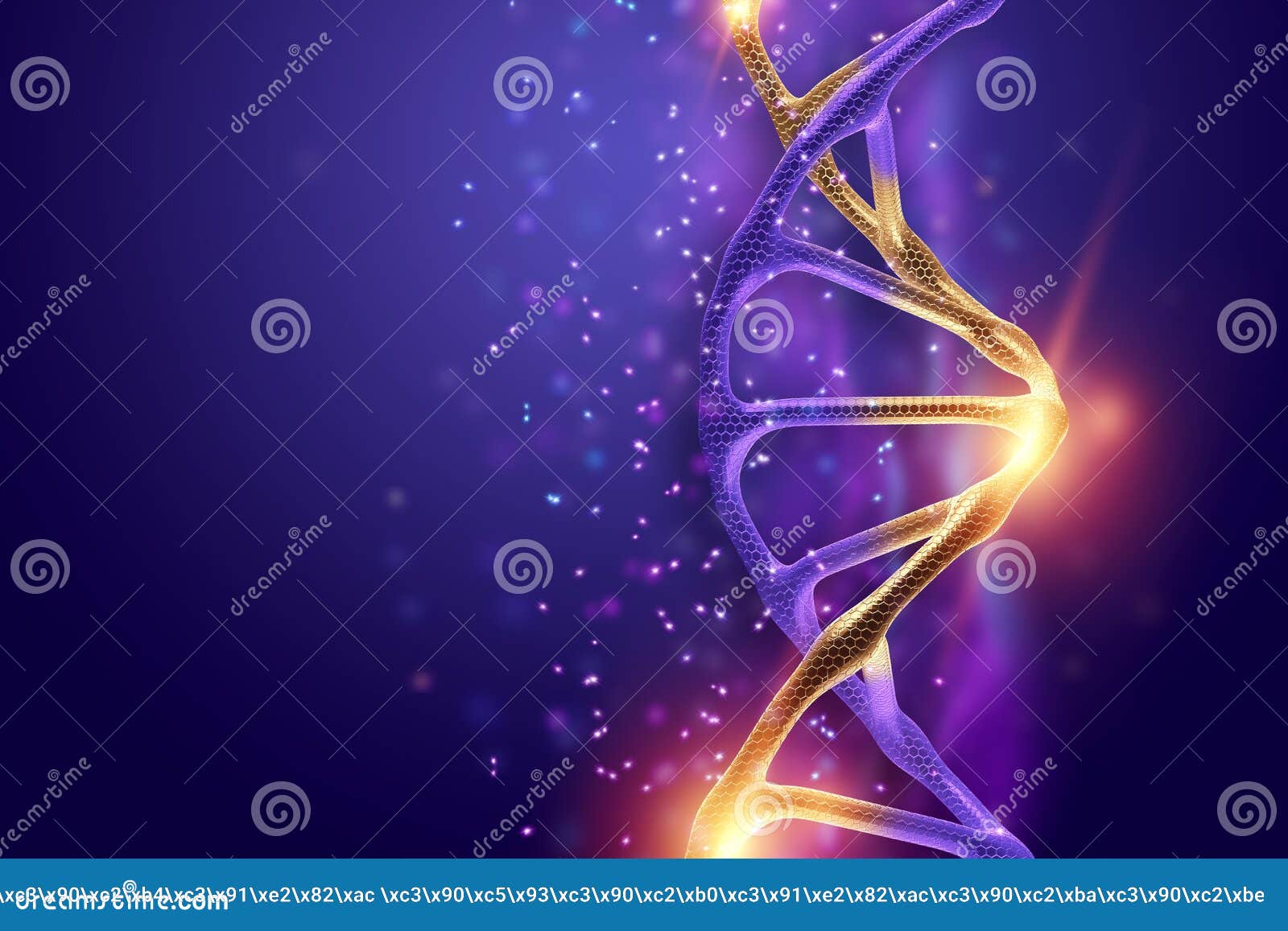 Creative Dna Structure Model