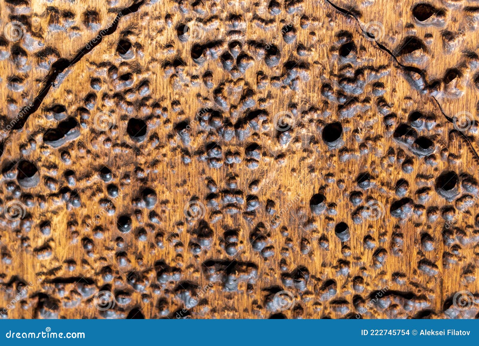 Creative Background. Trypophobia Concept, Fear of Close-packed Holes ...