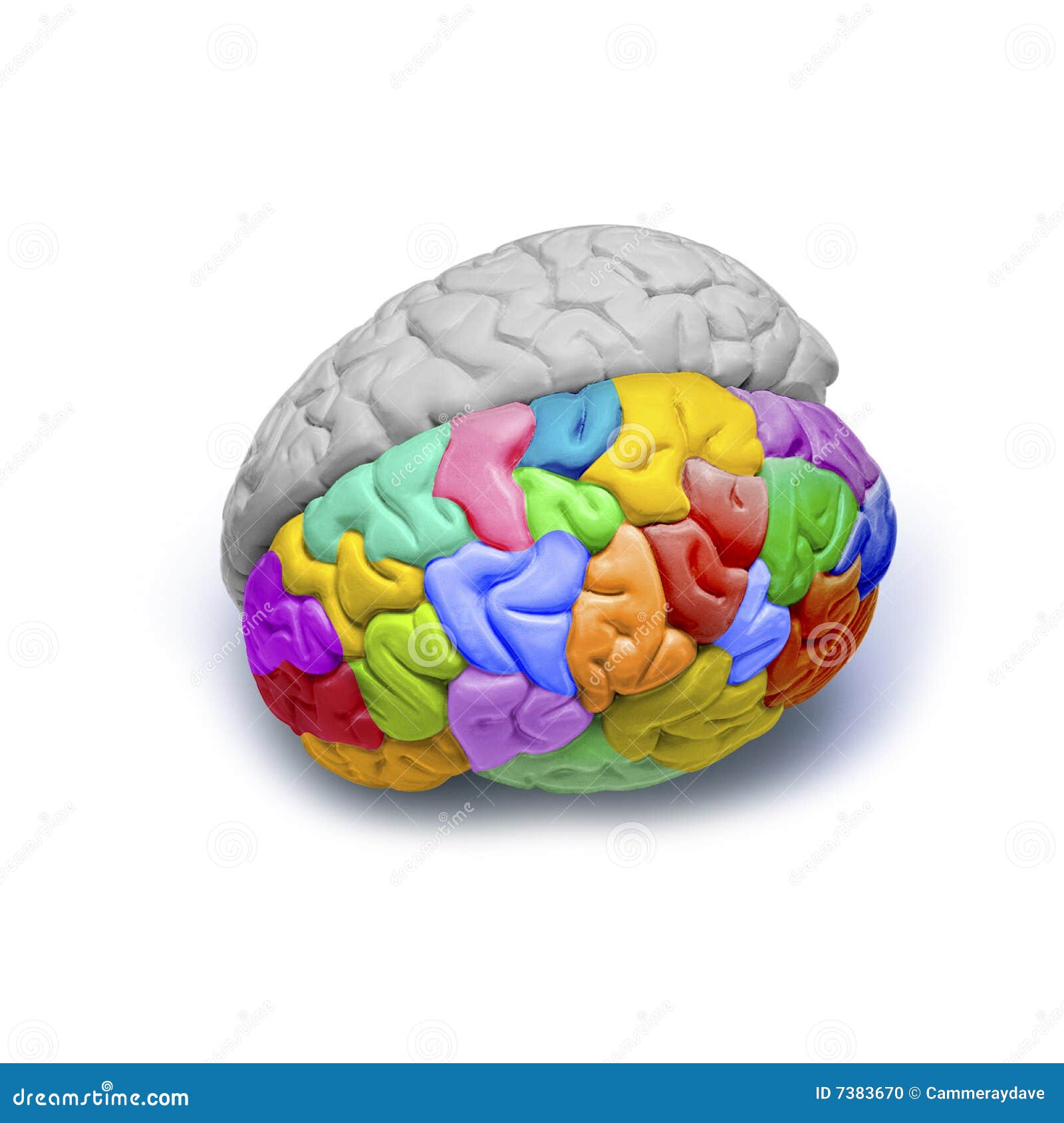 Creative Emotions Brain stock photo. Image of creative - 7383670