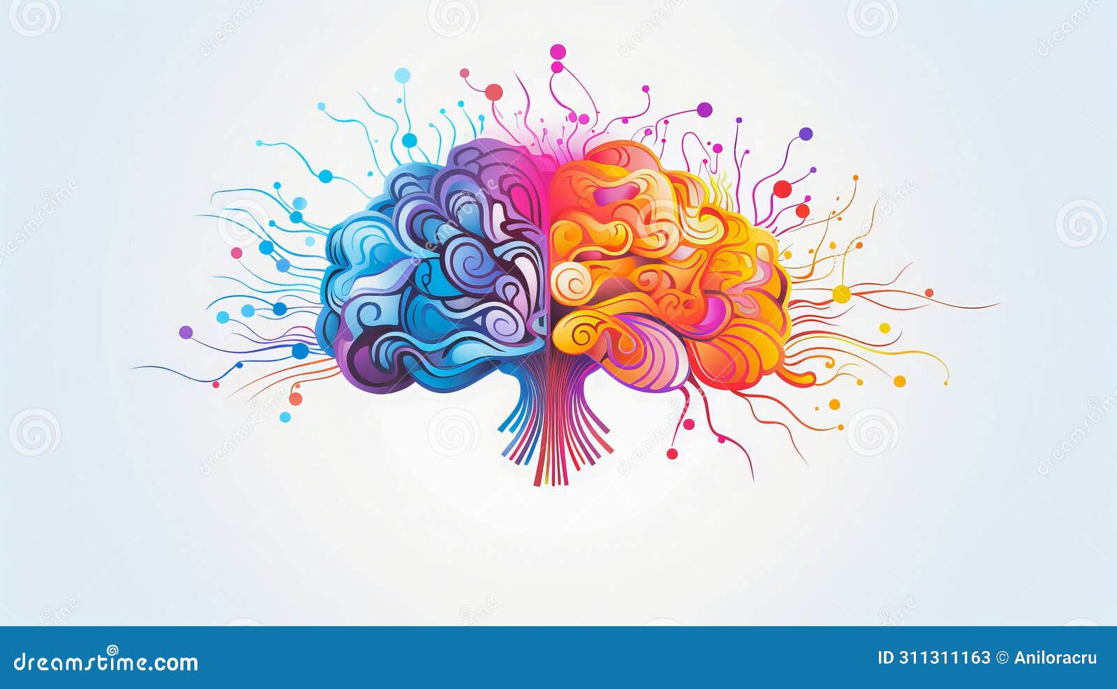 Creative Brain Idea Concept on White. Abstract Human Brain Stock Image ...