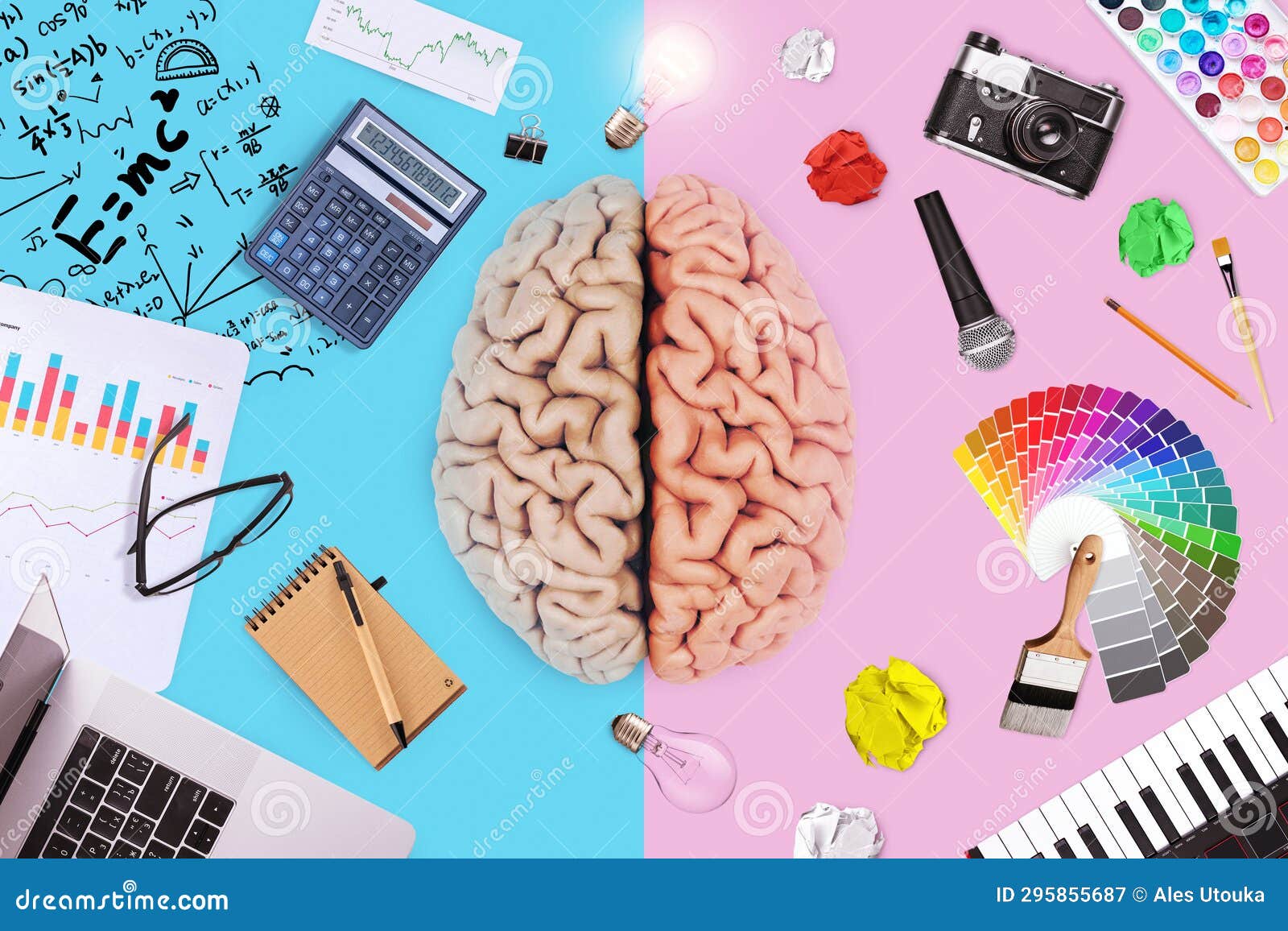 Creative Brain with Left Math Business Functions and Right Creative Art ...