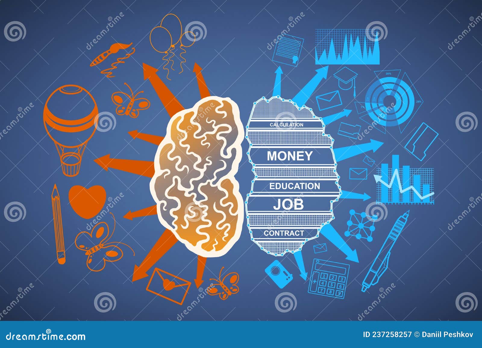 Creative Brain Sketch with Creative and Analytical Side on Blue Wall ...